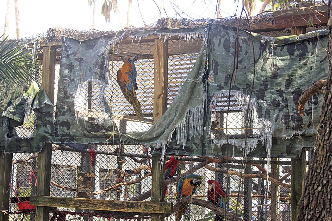 Shell Factory, nature park battered by Ian - Cape Coral Breeze